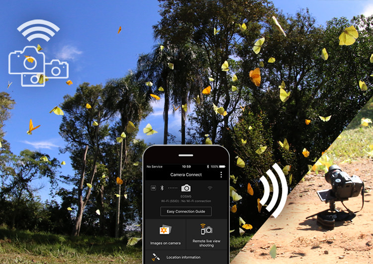 6 Useful Tips for Remote Shooting via Wi-Fi with the Camera Connect App