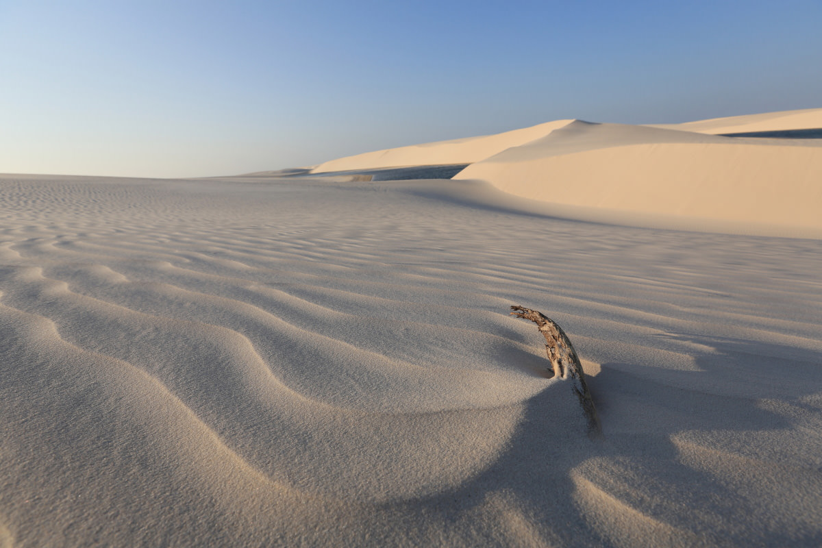 Celebrating 30 Years of EOS (3): Digital EOS, Progressing Now and Beyond