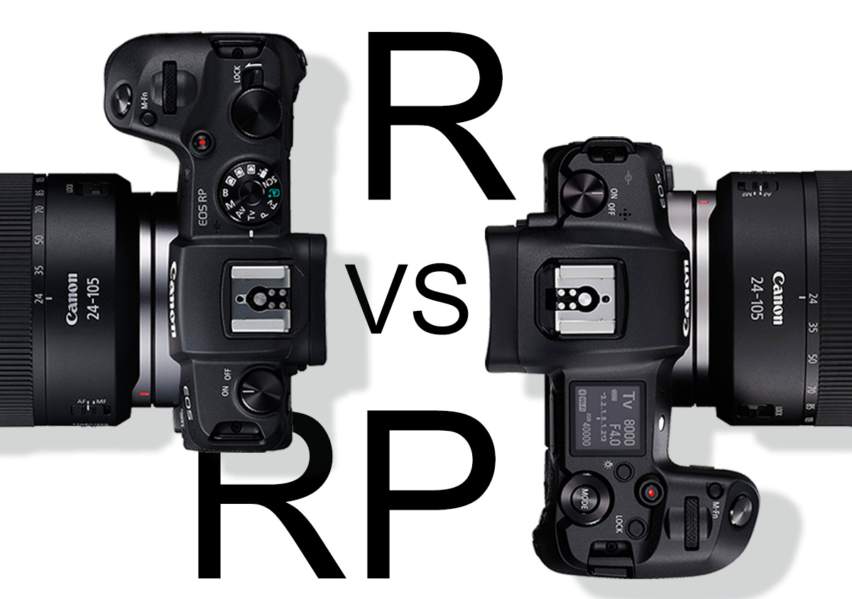 EOS R Vs EOS RP Which To Choose 