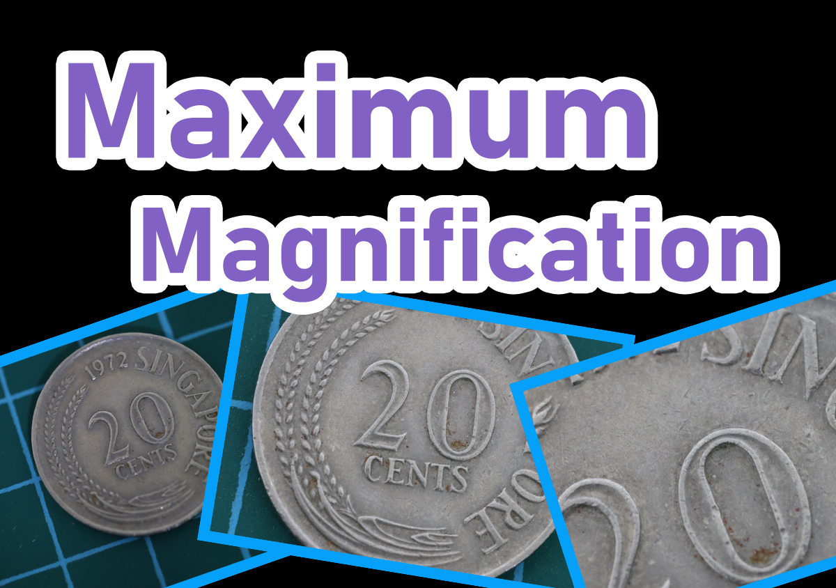 Lenses FAQ What Does Magnification Ratio Mean 