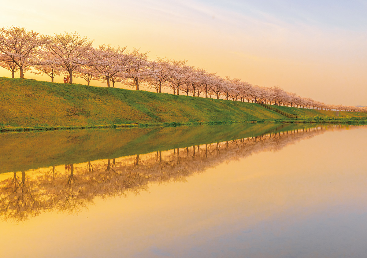 Composition Quick Tip: Try Shooting Reflections from an Angle