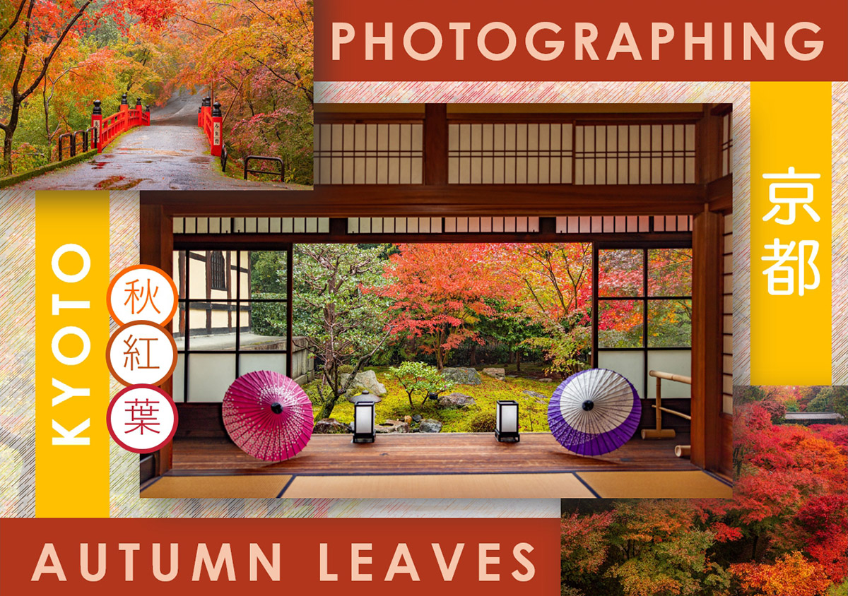 3 Autumn Leaf Spots in Kyoto within Walking Distance