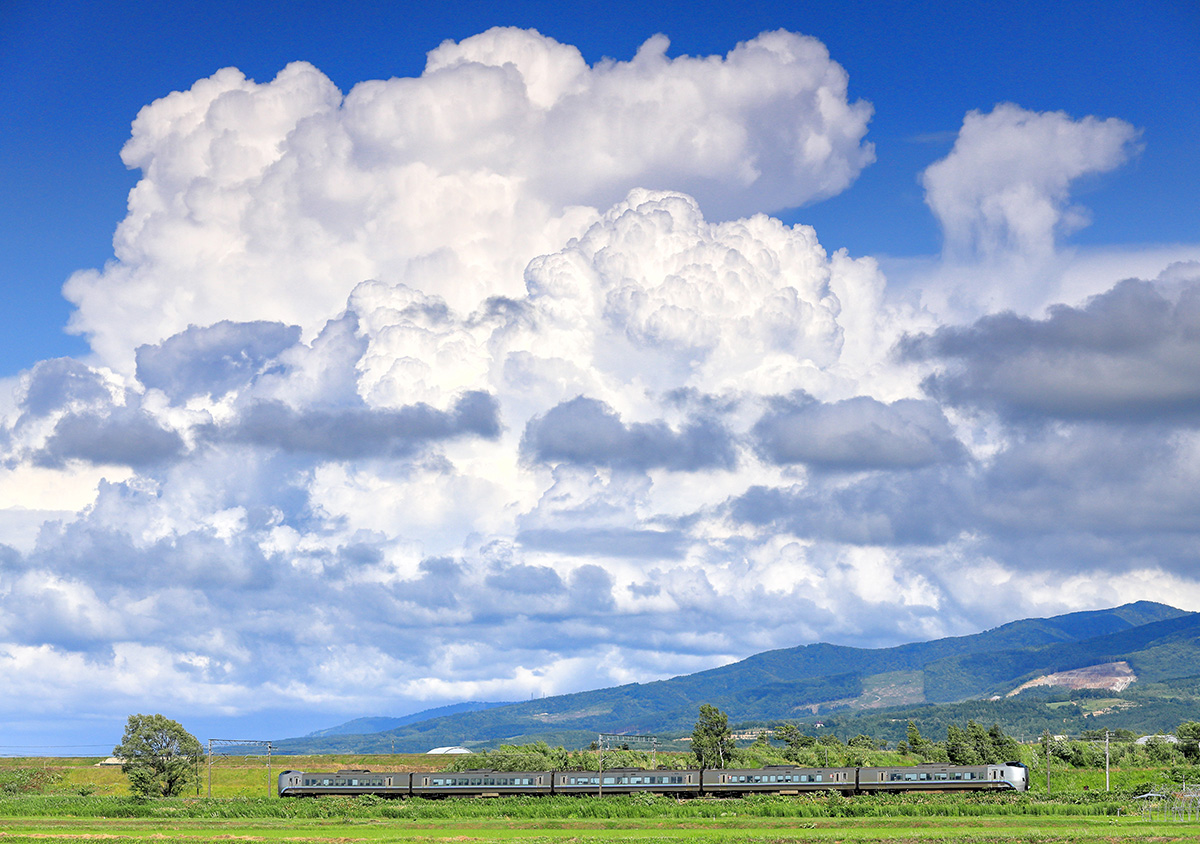 Cara Menggunakan Teknik Kuadran untuk Menyeimbangkan Subjek dan Pemandangan