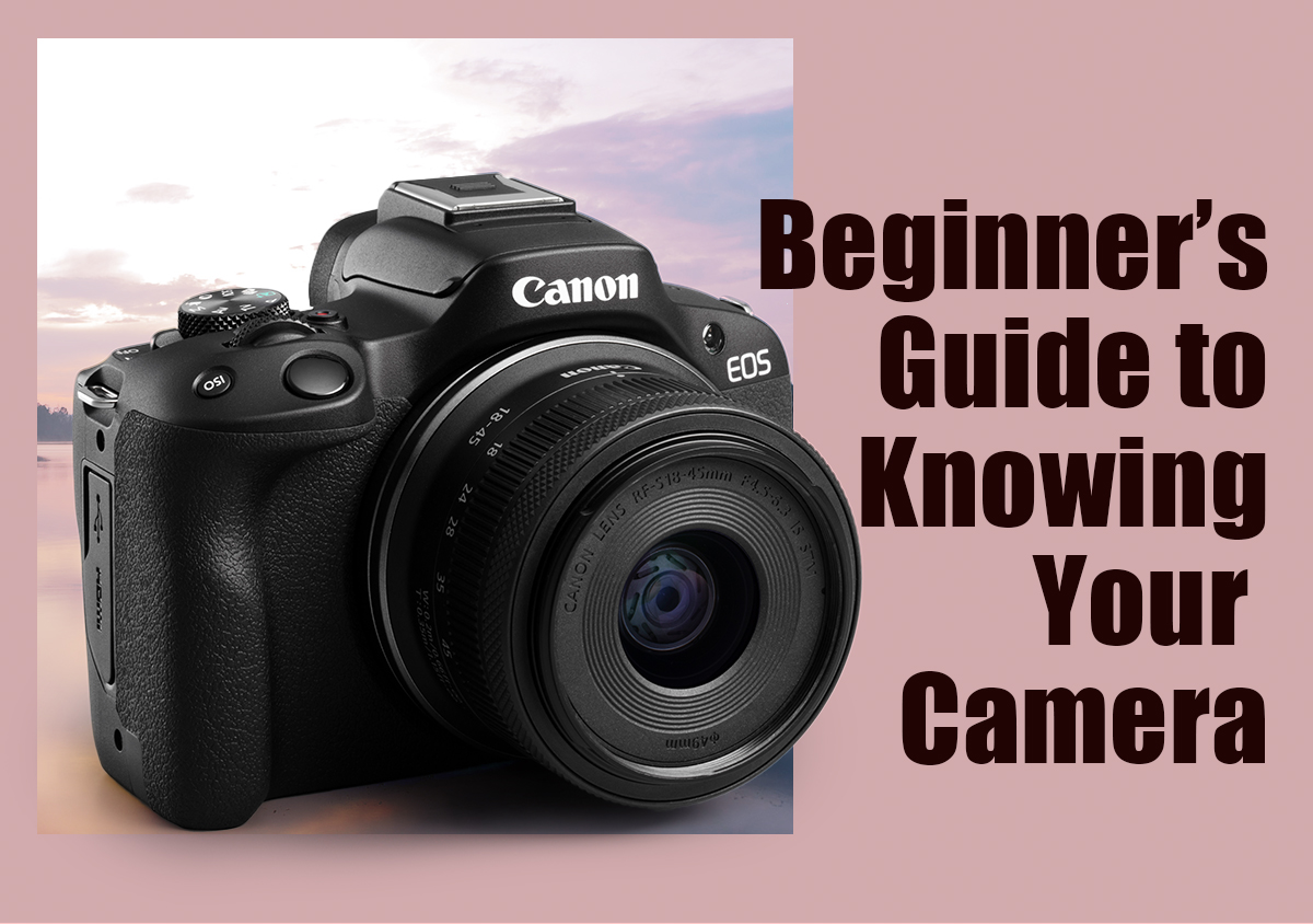 10 Things You Should Know About Your Camera