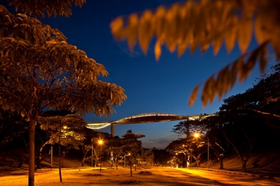 Untrain the Eye for a Fresh View