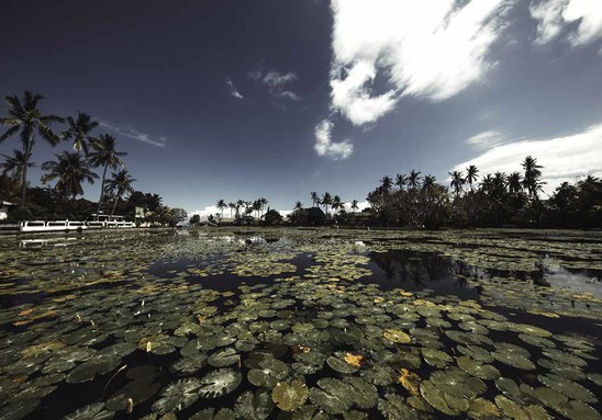 Island Life Photography in Bali Part 5: North Bali